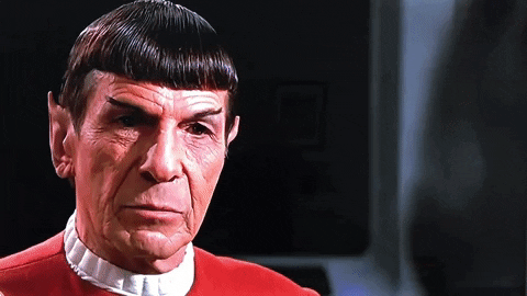Spock Raised Eyebrow Gif