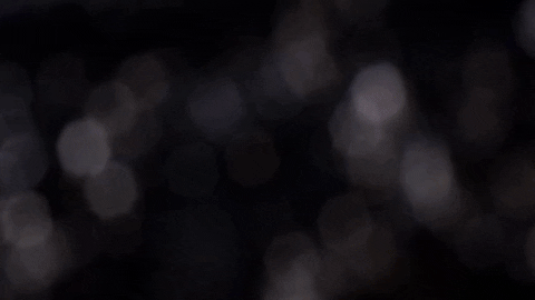 Lens Dirt GIFs - Get the best GIF on GIPHY