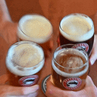 Beer Toast Gif