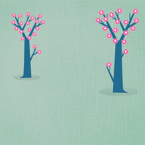 Surprise Spring GIF - Find & Share on GIPHY