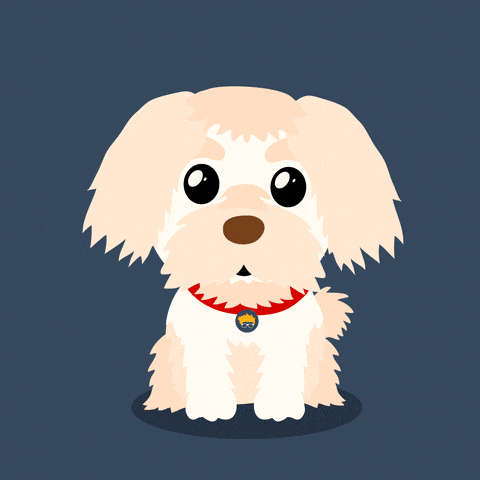 Happy Puppy GIF by Gofourward - Find & Share on GIPHY