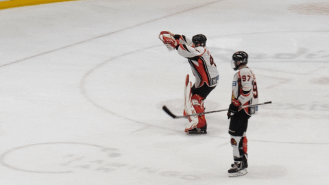 Ice Hockey Goalie GIF by Cardiff Fire - Find & Share on GIPHY