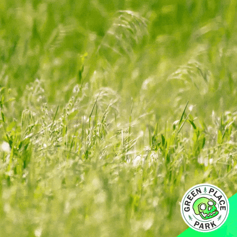 Green Park GIFs - Get the best GIF on GIPHY