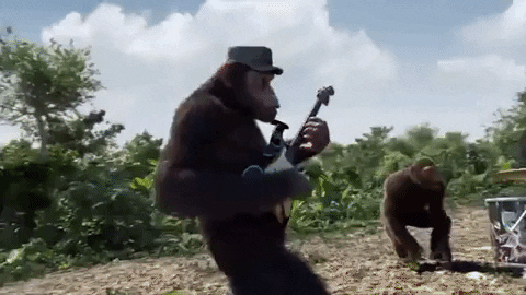 Adventure Of A Lifetime GIF by Coldplay - Find & Share on GIPHY