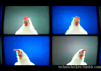 Techno Chicken GIFs - Get the best GIF on GIPHY