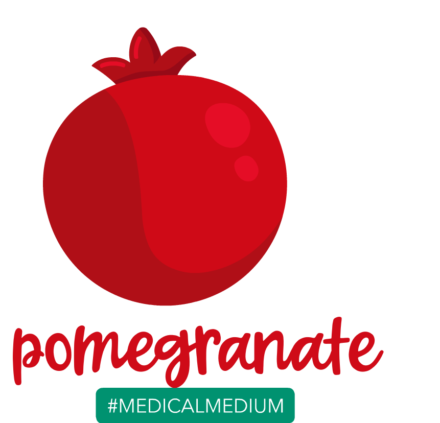 Fruit Pomegranate Sticker by Medical Medium for iOS & Android | GIPHY