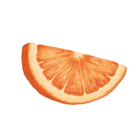 Eat Orange Slice Sticker for iOS & Android | GIPHY
