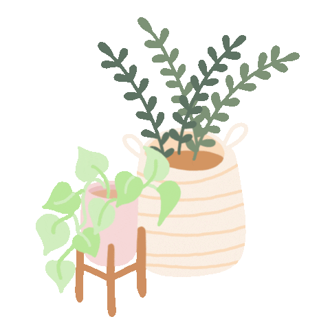 Growing Plant Gif
