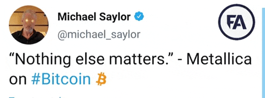 Michael Saylor GIFs - Find & Share on GIPHY