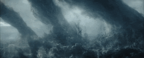 Belo Desastre GIFs - Get the best GIF on GIPHY