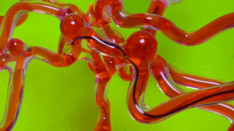 Brain Aneurysm GIFs - Get the best GIF on GIPHY