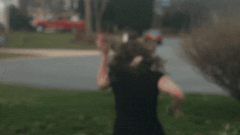Mean Bean Productions GIF - Find & Share on GIPHY