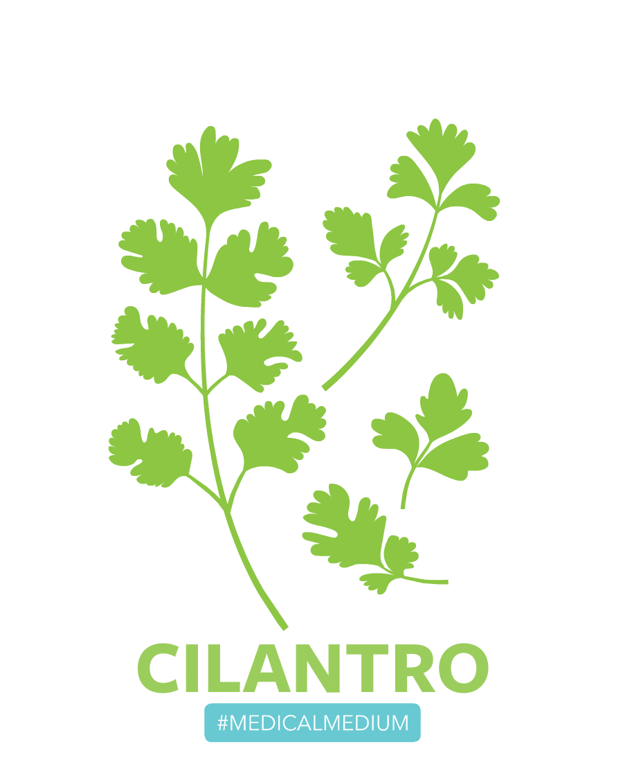Cilantro GIFs - Find & Share on GIPHY