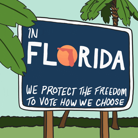 Florida Tree GIFs - Get the best GIF on GIPHY