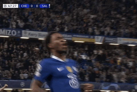 Soccer Fan Celebration Gif