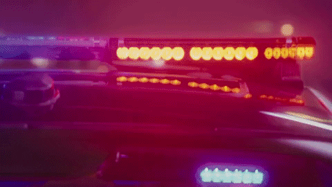 Happy Fast And Furious GIF by The Fast Saga - Find & Share on GIPHY