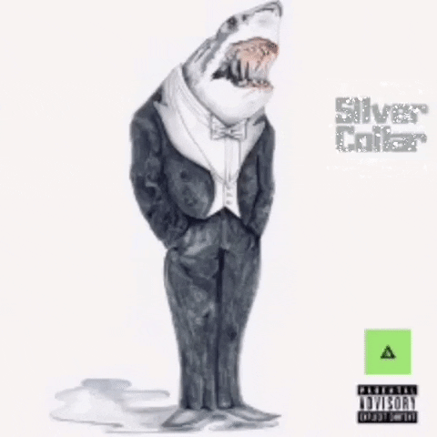 Lil Shark GIFs - Get the best GIF on GIPHY