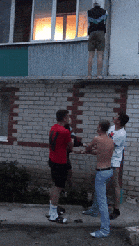 Trust Fail Gif