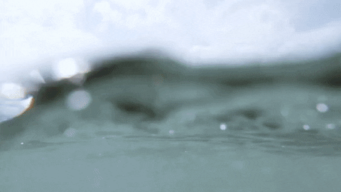 Hotwater GIFs - Get the best GIF on GIPHY