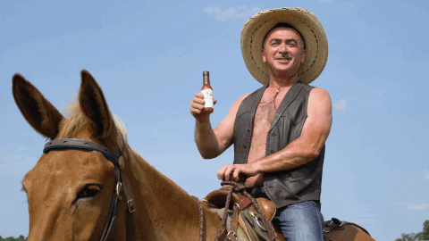 Stickermule GIFs - Get the best GIF on GIPHY