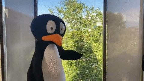 Jiji Penguin