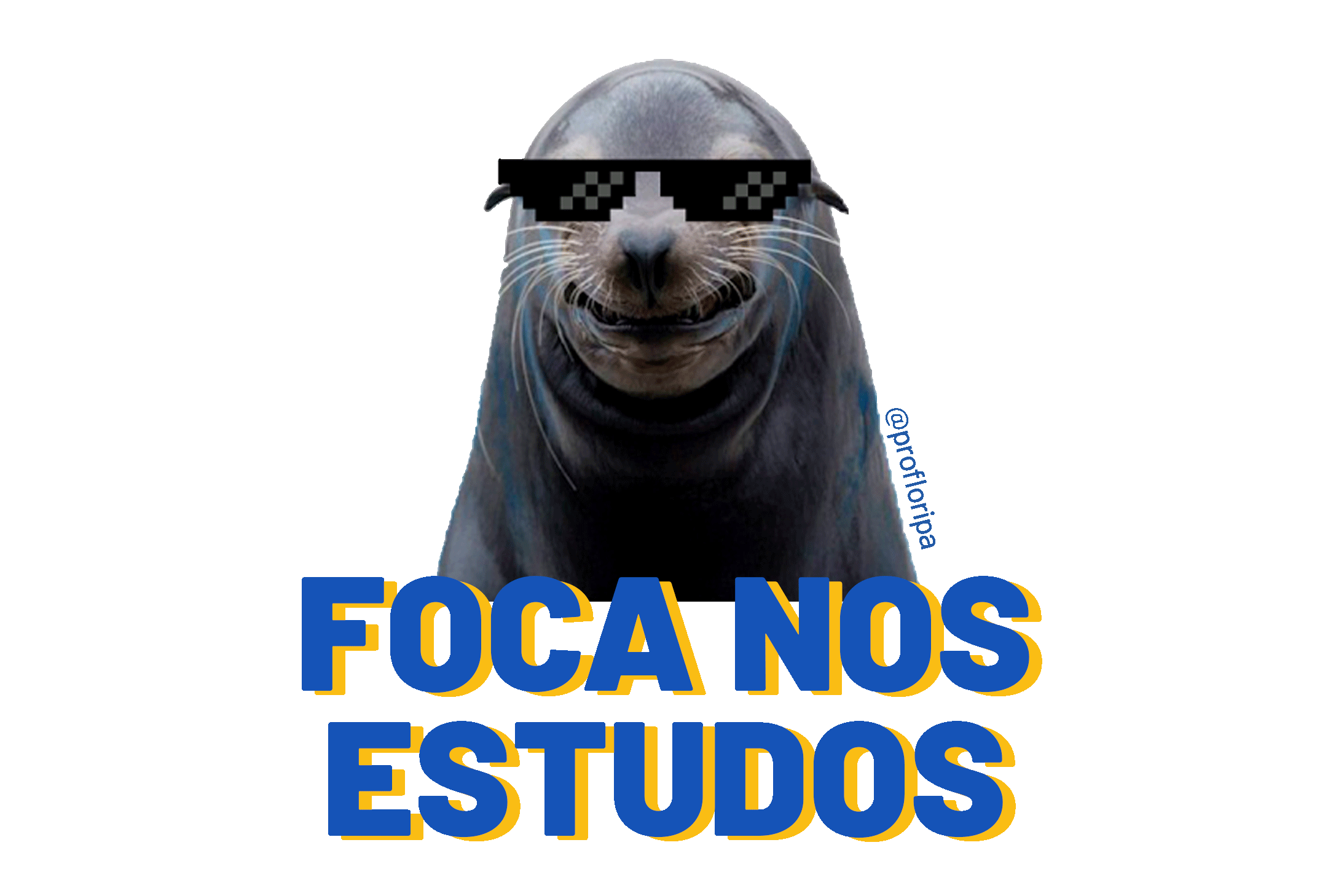 Gif Animado De Foca Foca Mais Fofa! | Wiki | Luccas Neto™ Amino