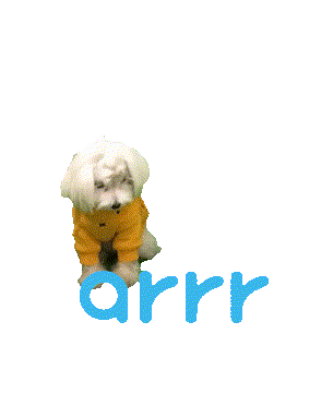 아르르 Sticker by arrr_official for iOS & Android | GIPHY