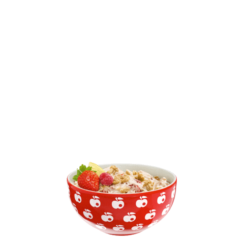 Muesli Sticker by biofamilia for iOS & Android | GIPHY