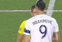 Ibrahimovic Coup De Pied à Vélo Gif