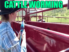 Bar SZ Ranch GIFs on GIPHY - Be Animated