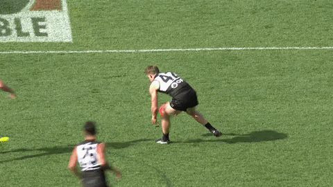 Handball Afl GIF by Port Adelaide FC - Find & Share on GIPHY