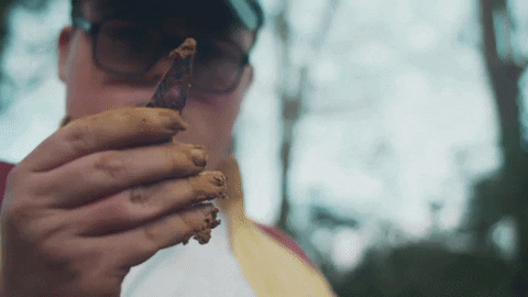 Torment-fragment GIFs - Get the best GIF on GIPHY