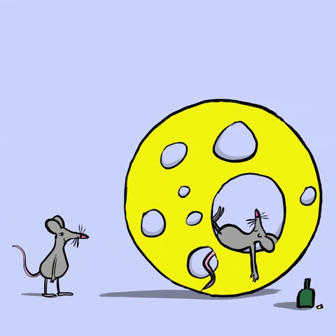 Ratte GIFs - Get the best GIF on GIPHY