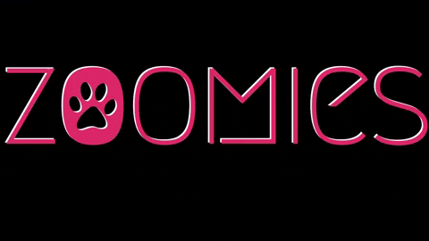 Zoomies GIFs on GIPHY - Be Animated