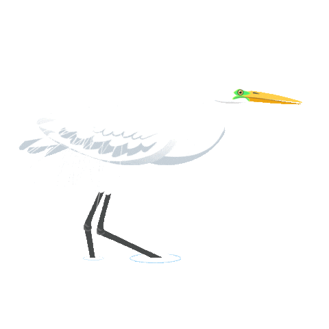Wading Great Blue Heron Sticker for iOS & Android | GIPHY