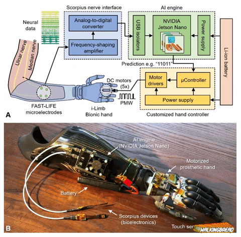 Prosthetic-hand GIFs - Get the best GIF on GIPHY