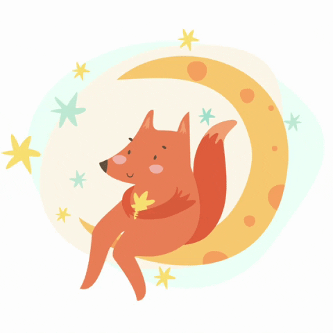 Little Fox GIFs - Get the best GIF on GIPHY