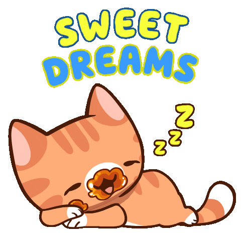 Goodnight Cat Gif