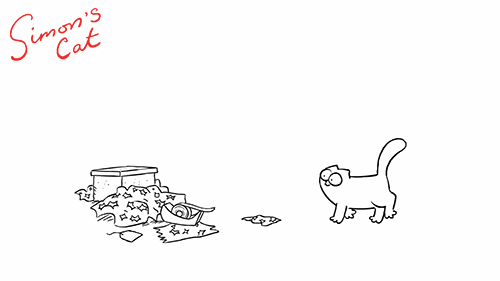 Simon Cat GIFs - Get the best GIF on GIPHY