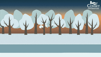 Conwy County Borough Council GIFs on GIPHY - Be Animated