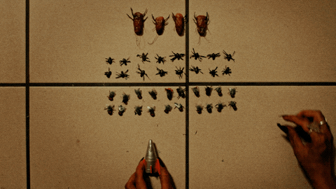 Homemade Game GIFs - Get the best GIF on GIPHY