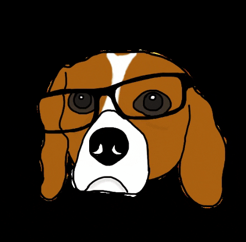 Study Beagle GIF - Find & Share on GIPHY