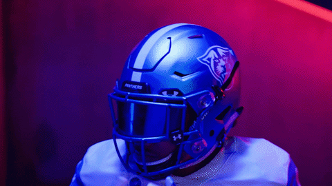 Georgia-state-panthers GIFs - Get the best GIF on GIPHY