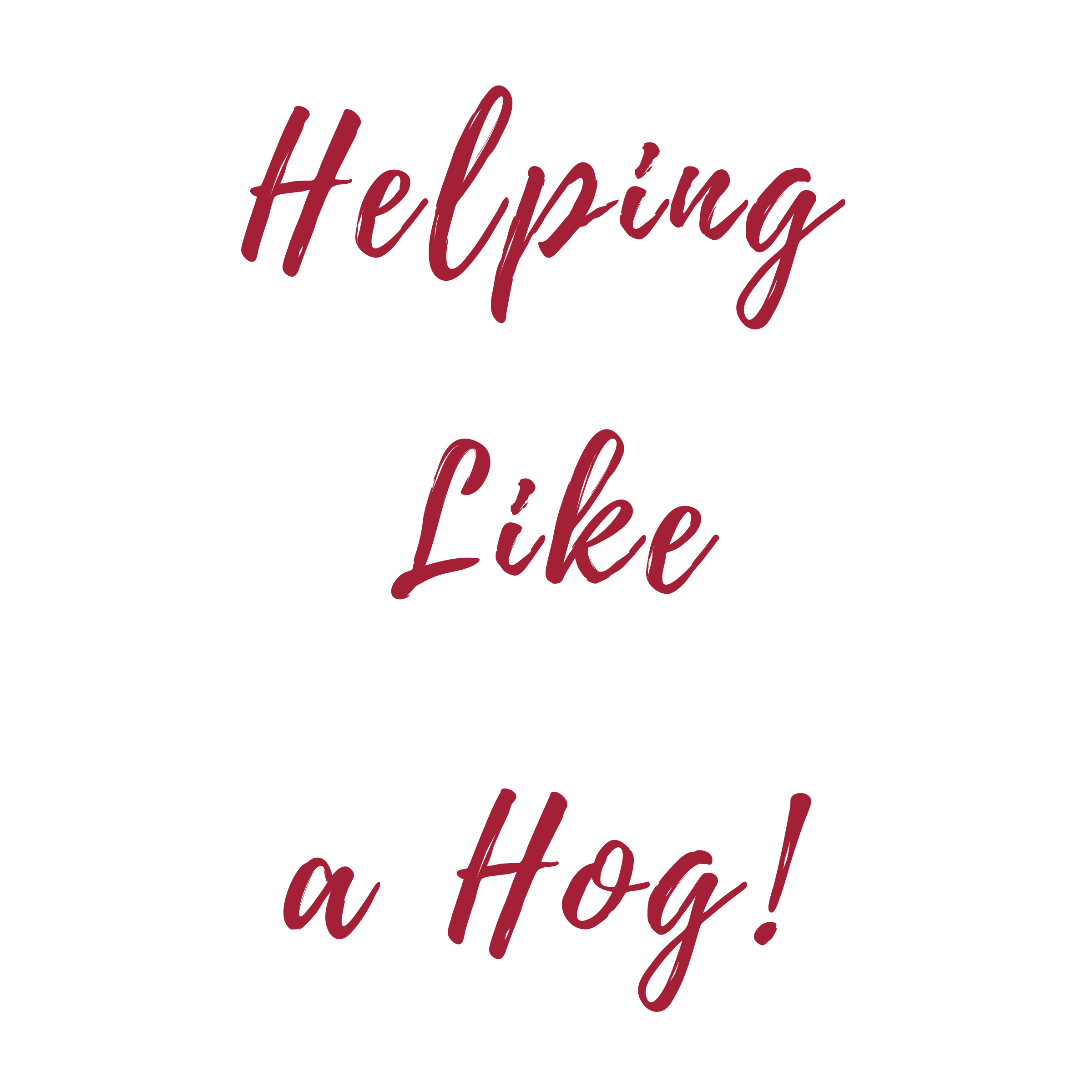 University Of Arkansas Hog Sticker by Arkansas Alumni Association for ...