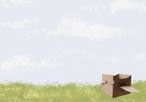 Box Plane GIFs - Get the best GIF on GIPHY