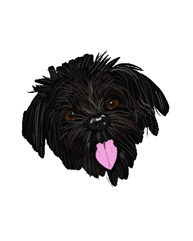 Black Dog Puppy Sticker by ThePaiz for iOS & Android | GIPHY