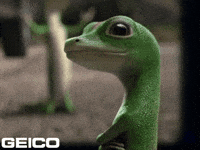 Geico Gif