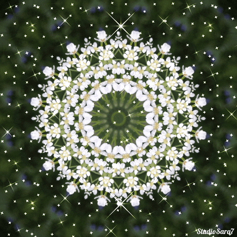 Flower Garland GIFs - Get the best GIF on GIPHY