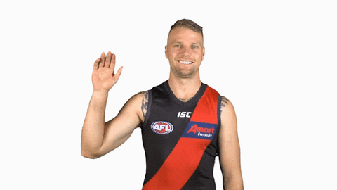 Essendon FC GIF - Find & Share on GIPHY