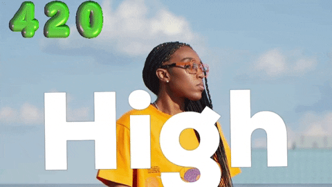 420-high GIFs - Get the best GIF on GIPHY